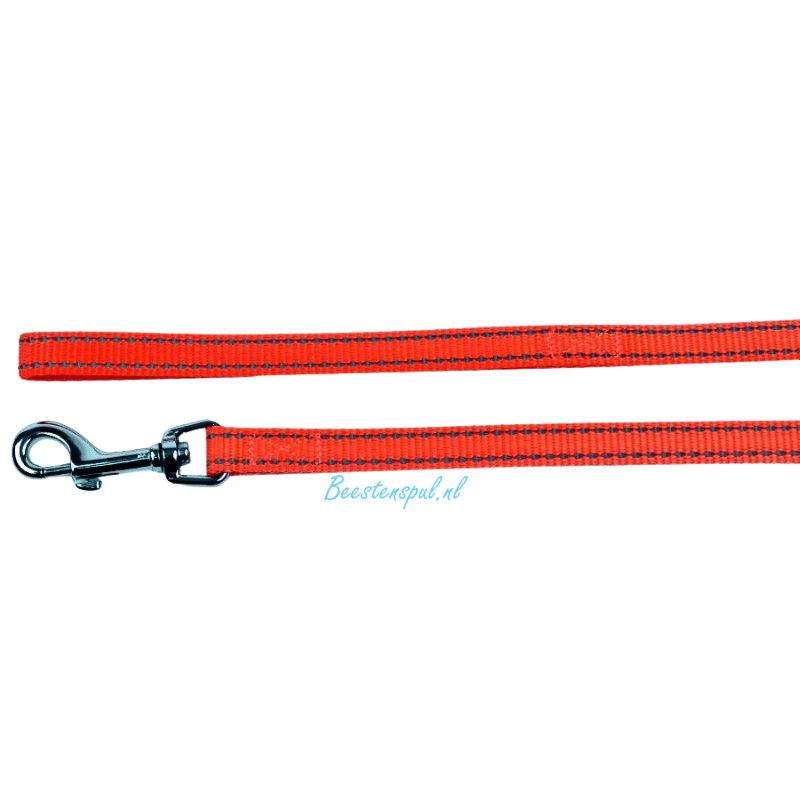 Lijn - Nylon Reflecterend - Oranje - Beestenspul dierensport en ...