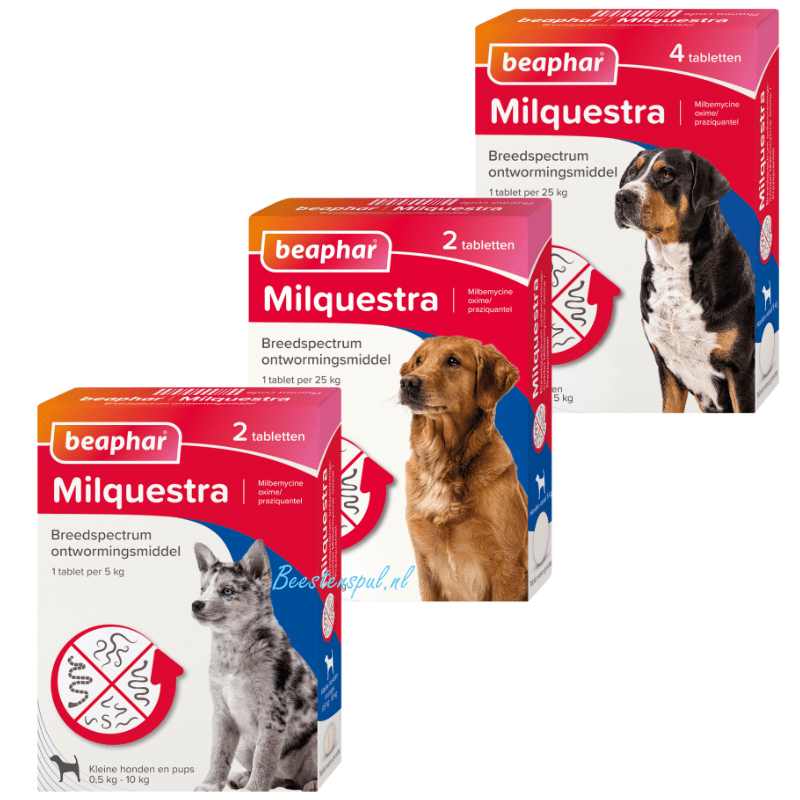 Beaphar - Milquestra - Ontworming - Hond - Beestenspul dierensport en ...