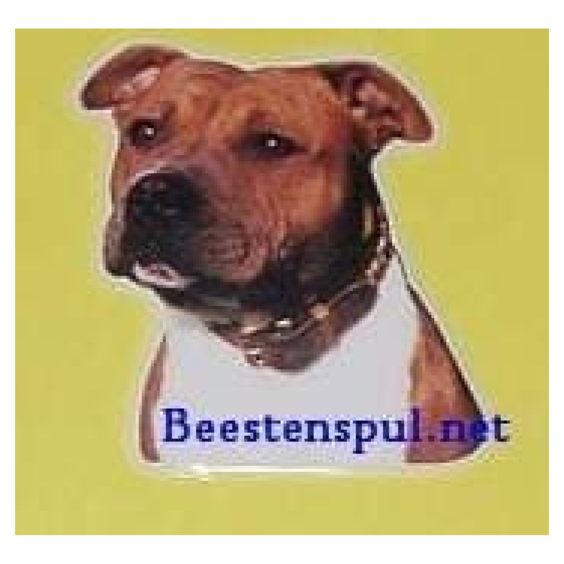 Sticker - Stafford - 21 - Beestenspul dierensport en -kadoartikelen