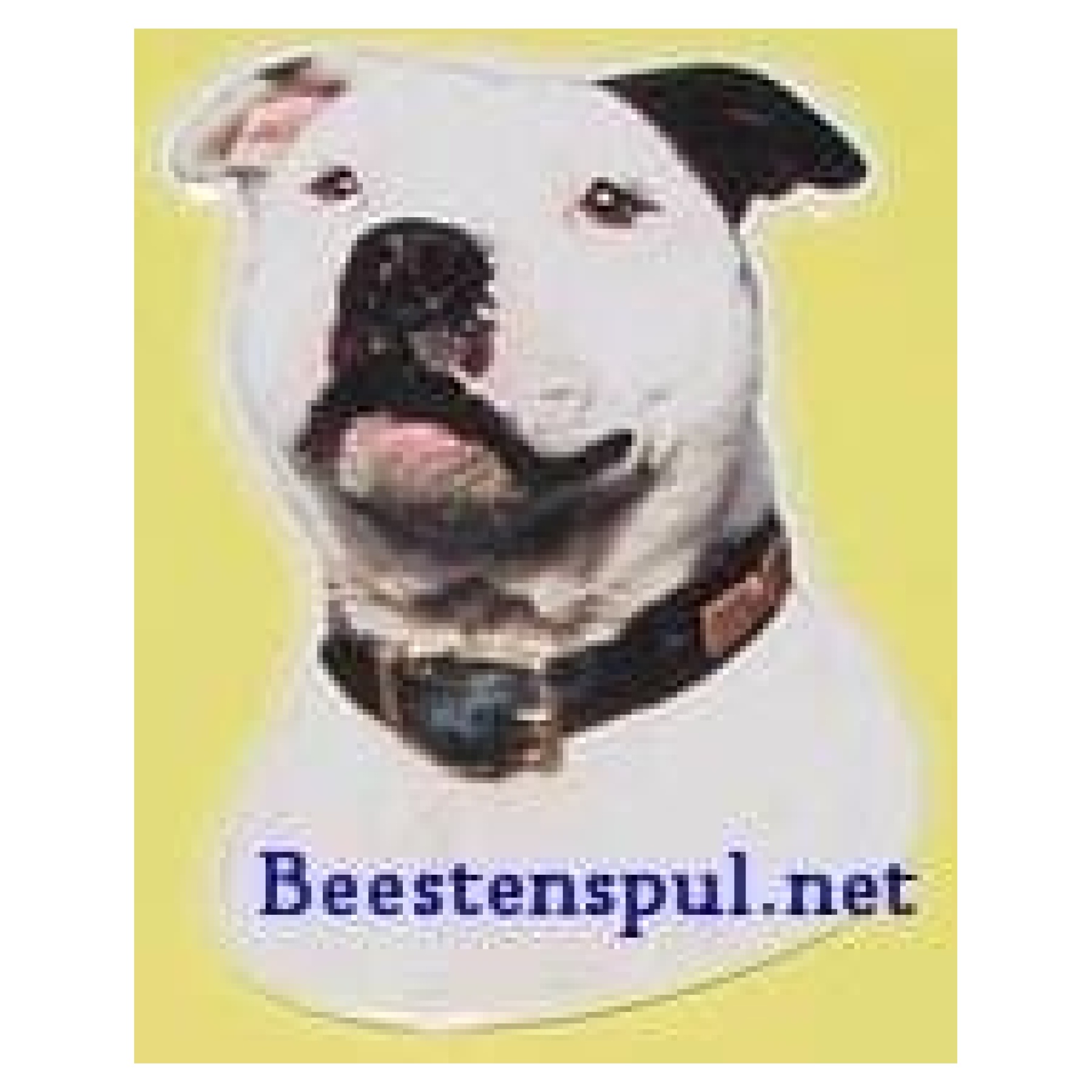 Sticker - Stafford - 25 - Beestenspul dierensport en -kadoartikelen