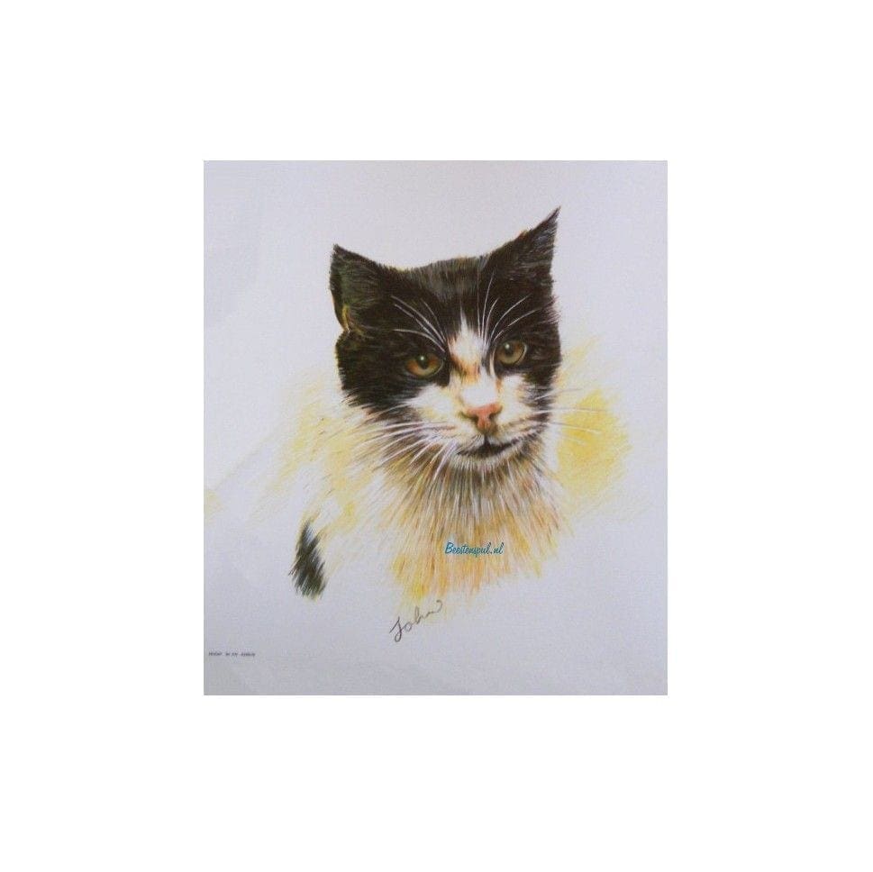 Prent Europese Korthaar (getekend)