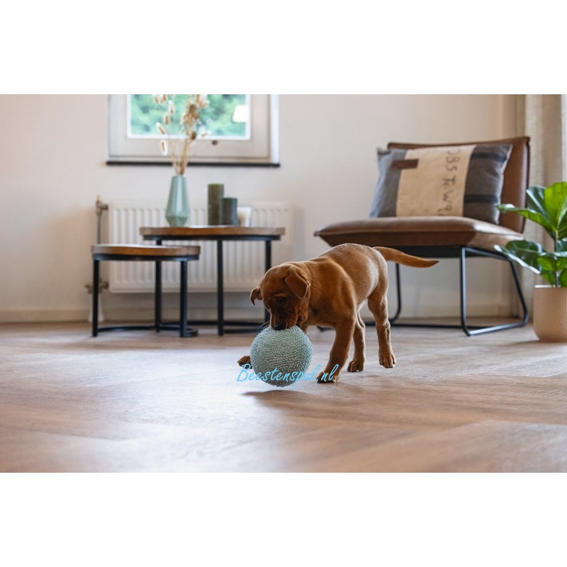 Beeztees - Lily - Puppy Bal - Beestenspul dierensport en -kadoartikelen